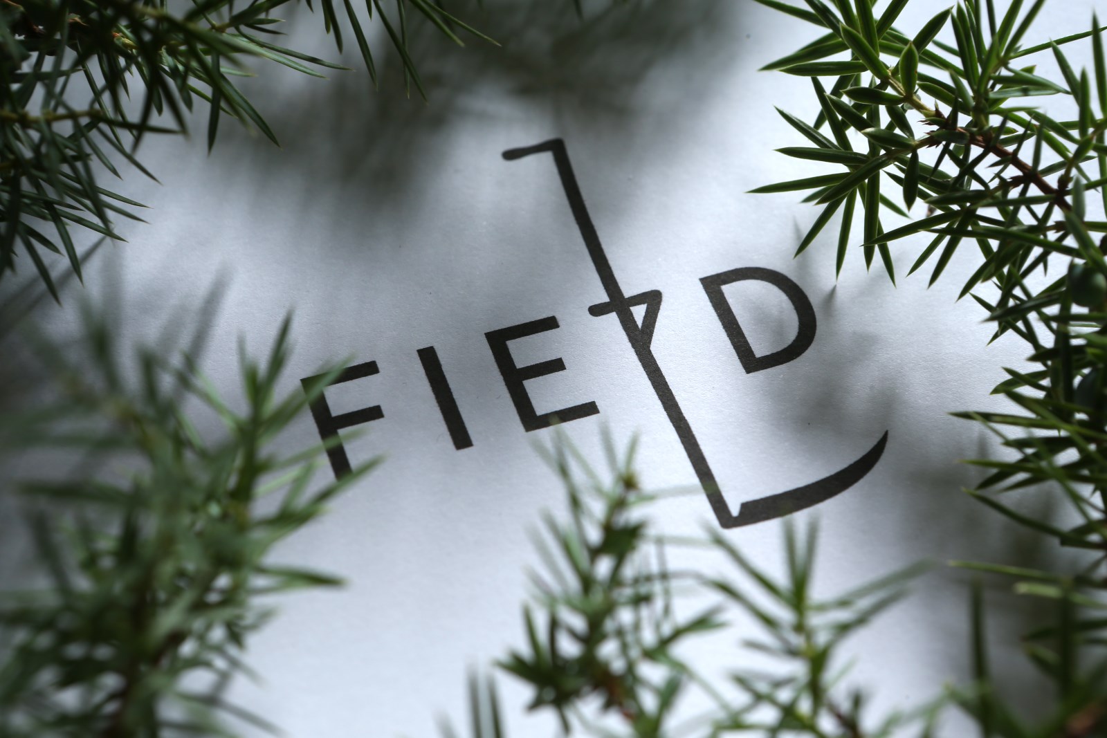 Field Restaurant – surové recepty s michelinskou hvězdou | Luxent